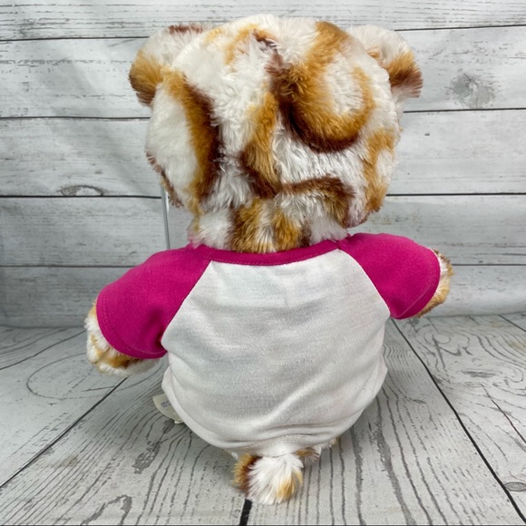 Build-A-Bear | Toys | Build A Bear Bab Girl Scout Smores Bear Plush Caramel Swirl Smores Shirt ...